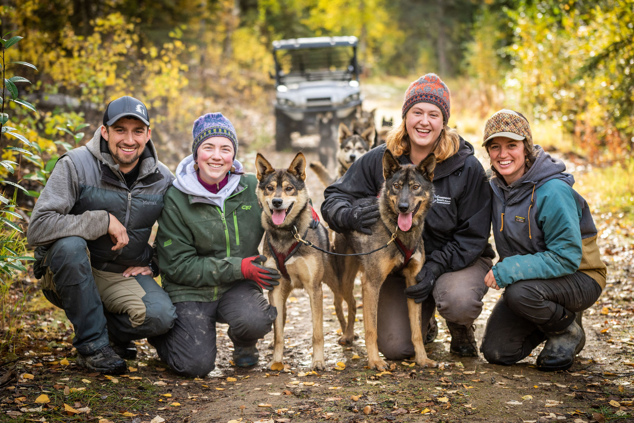Sled Dog Adoption - Black Spruce Dog Sledding