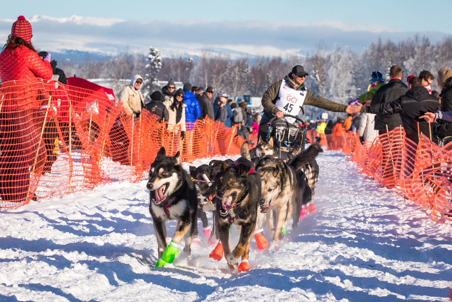 Corporate Sponsorships - Black Spruce Dog Sledding